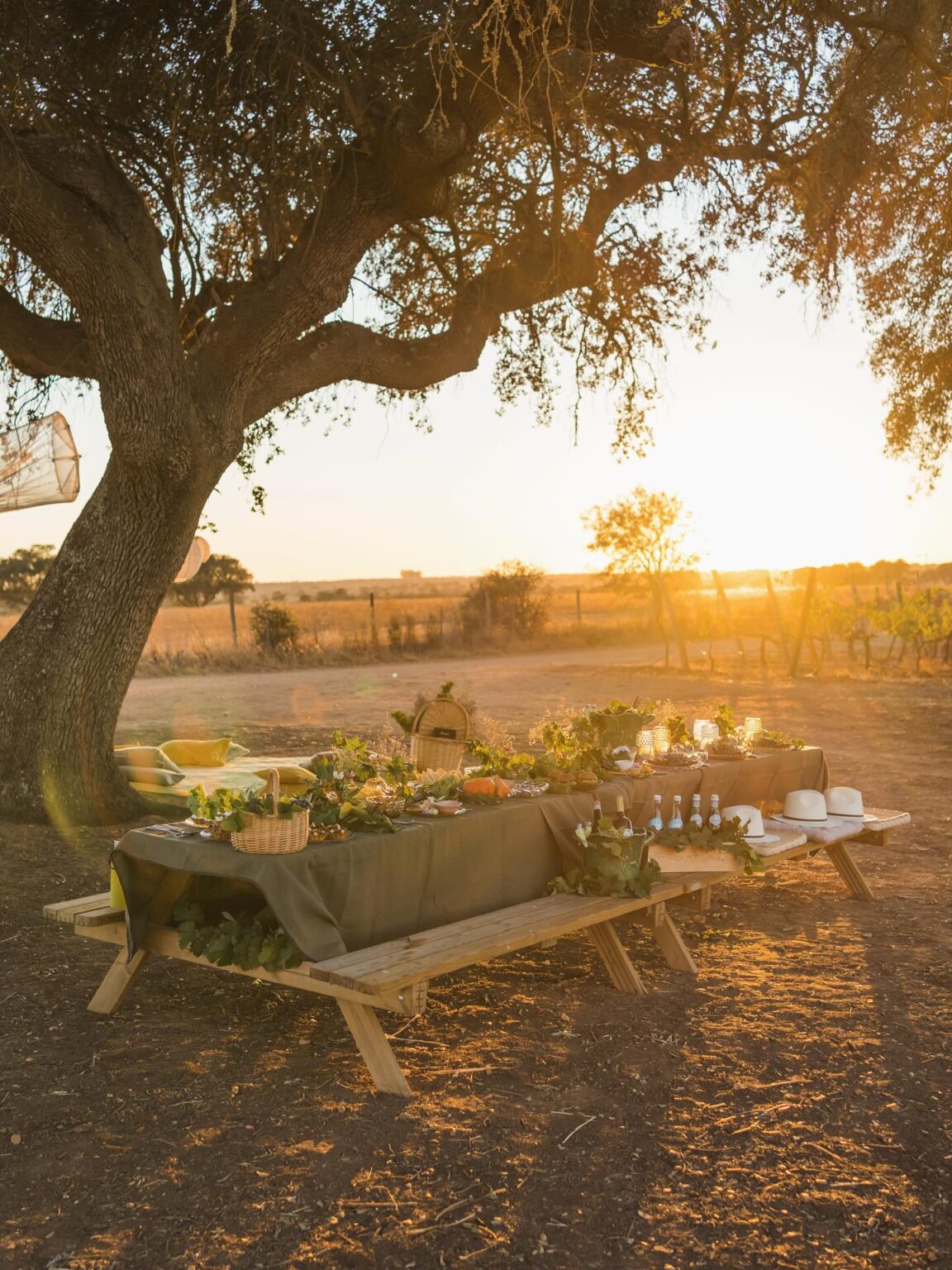 Herdade da Malhadinha Nova - Equestrian Travel Guide